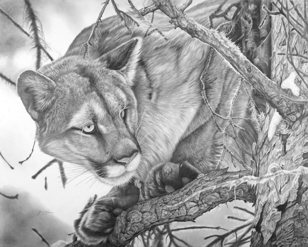 Limited Edition Prints – Jim Weaver Pencil Art