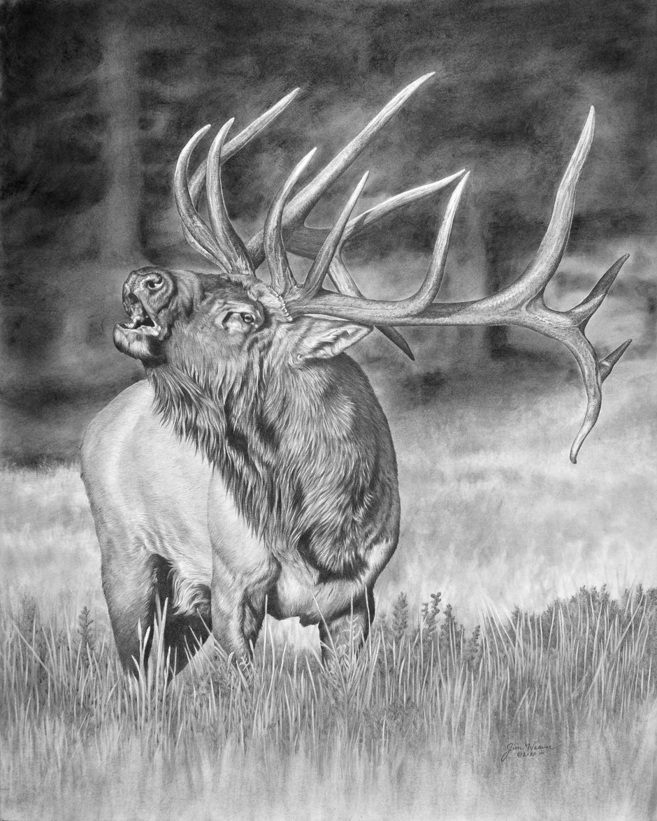 Limited Edition Prints – Jim Weaver Pencil Art