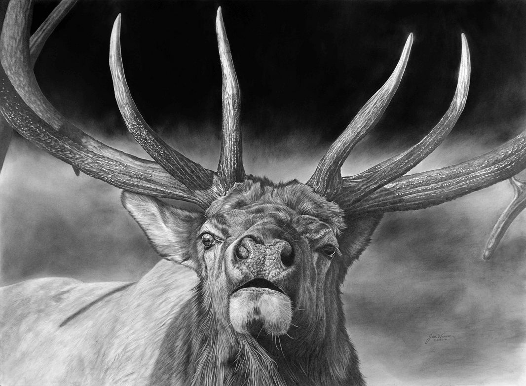 Limited Edition Prints – Jim Weaver Pencil Art