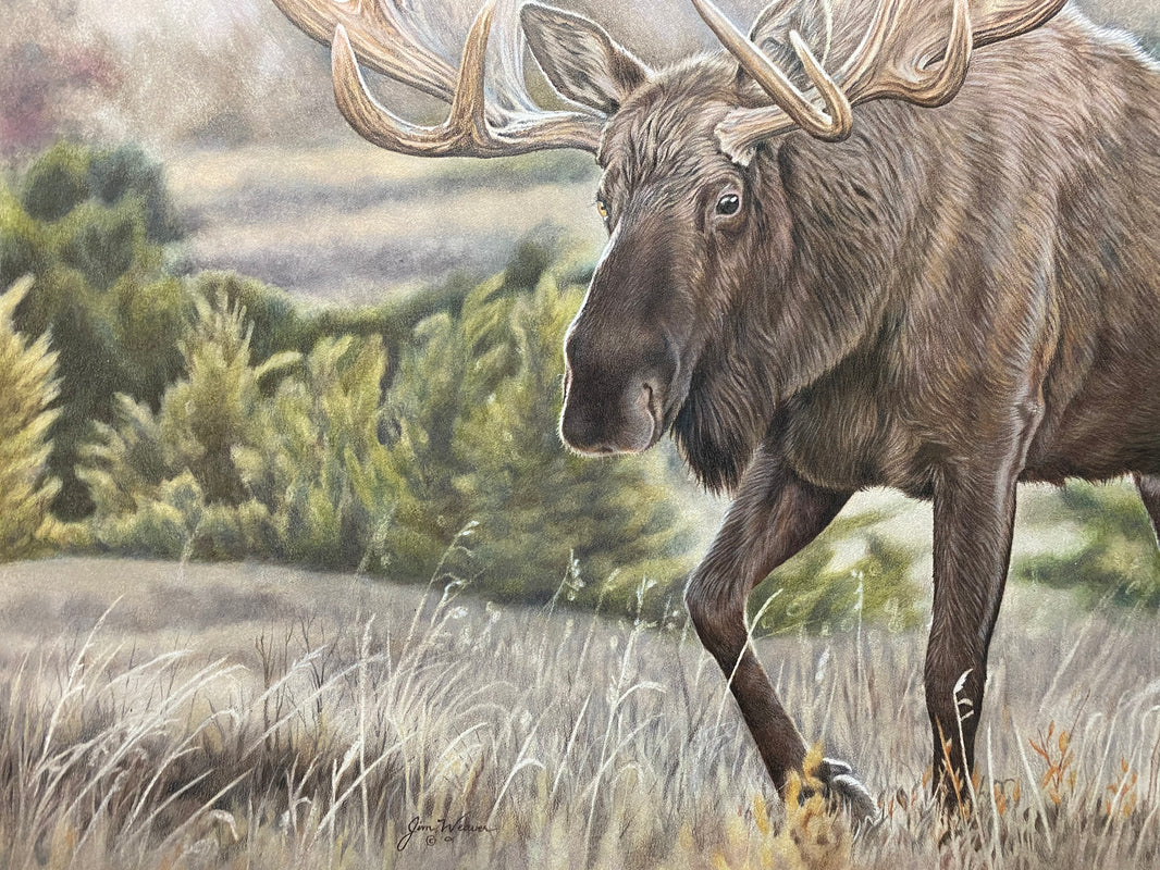 Limited Edition Prints – Jim Weaver Pencil Art